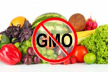 Who says GMOs are safe? (and who says they’re not)