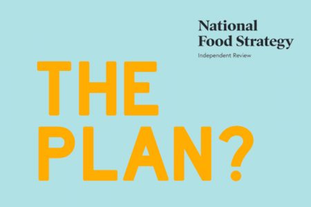 The National Food Strategy – Skating Over the Conflicts