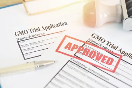 New legislative changes for GMO field trials – Beyond GM responds